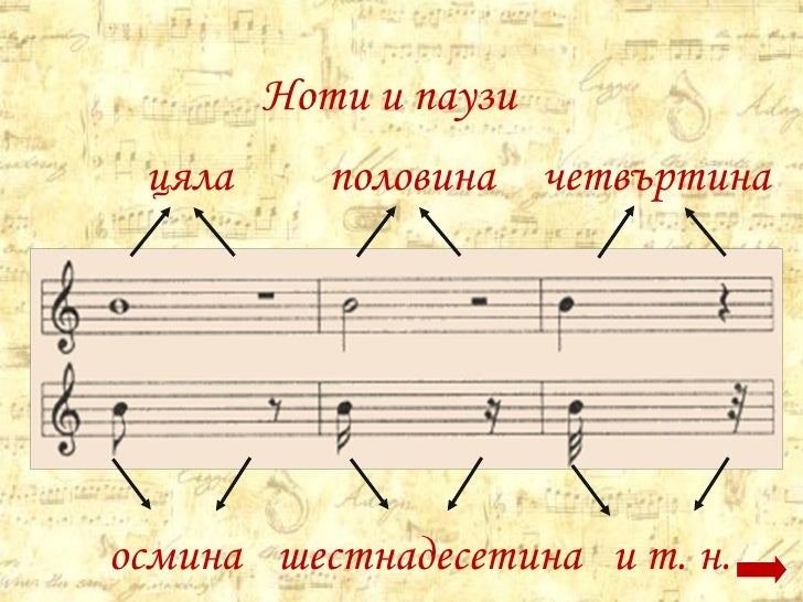 нотите 01