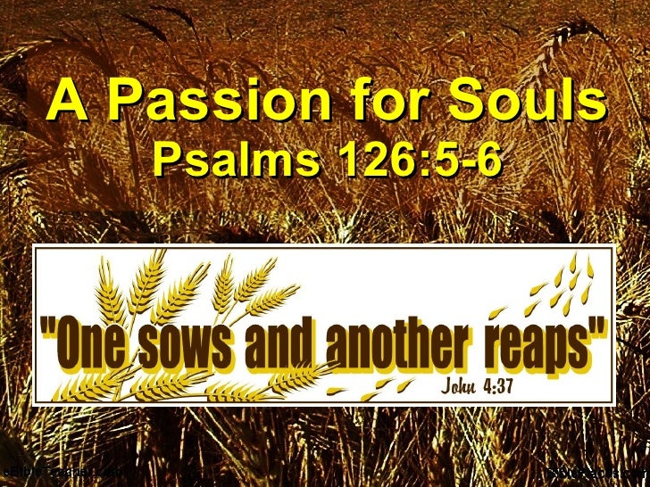 A Passion For Souls