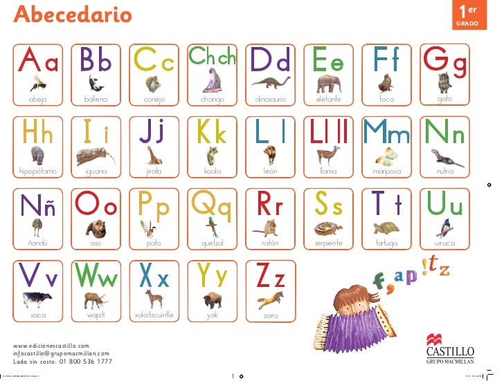 Abecedario en español ilustrado para niños - Imagui