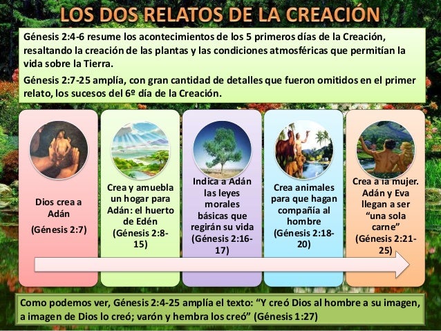 Los siete dias de la creacion de dios para niños - Imagui