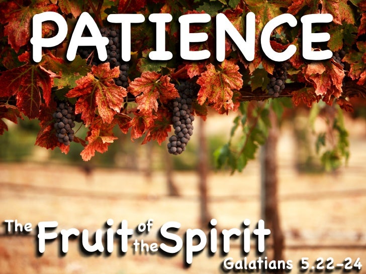 The Fruit Of The Spirit Patience the-fruit-of-the-spirit-patience