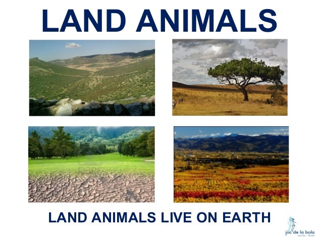 WHERE DO ANIMALS LIVE?