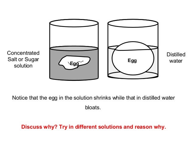 077 osmosis using eggs