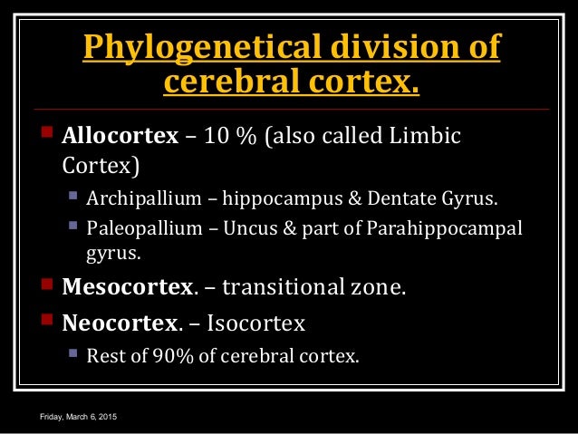 Cerebral Cortex
