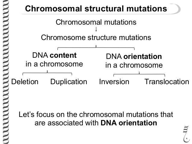 Inversion Mutation Diseases