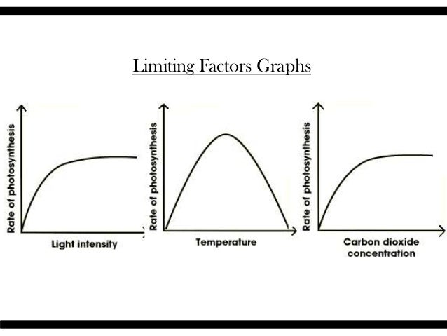 3.8 biochemistry - photosynthesis