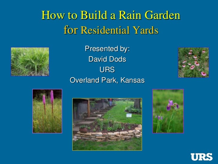 Rain Garden Lesson Plans at Diane Straub blog
