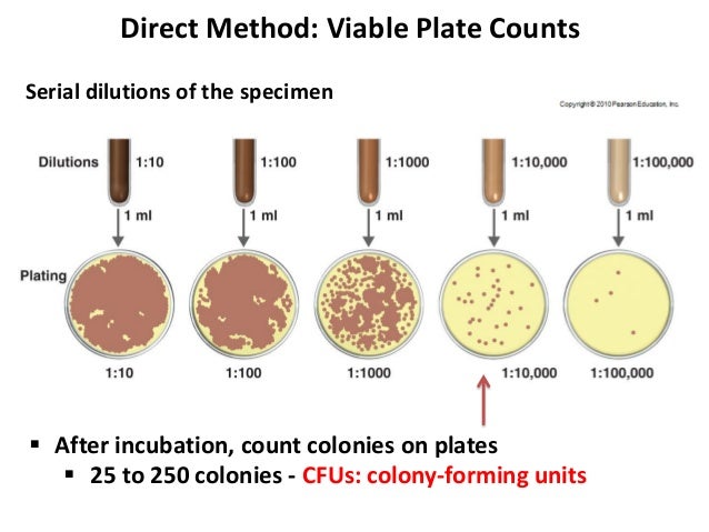 3 bio265 microbial growth instructor dr di bonaventura