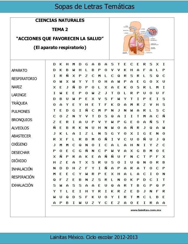 4to grado bloque 1 - sopa de letras