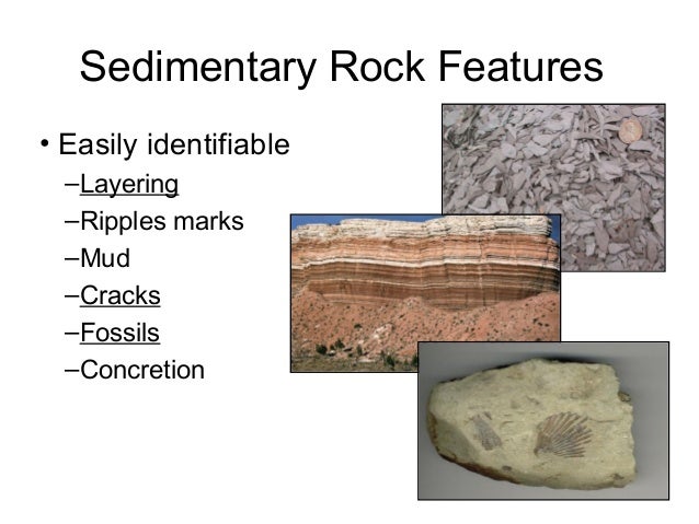 5.2 sedimentary rocks