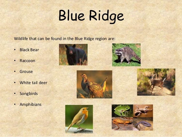 5 regions of georgia