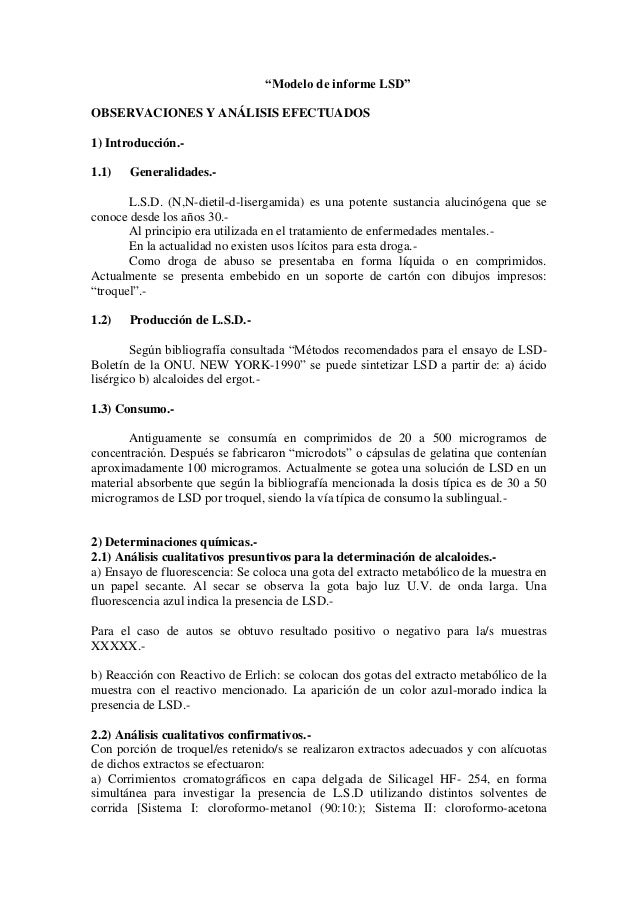 Modelo de informe - Imagui