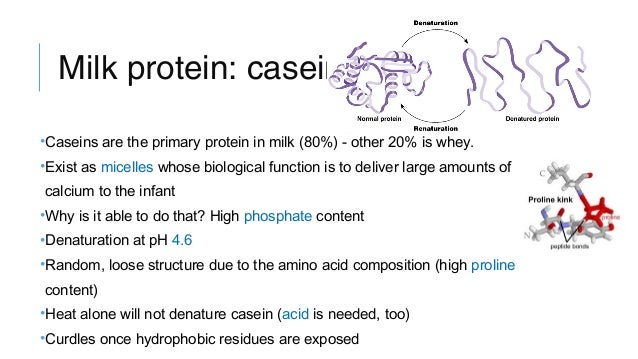 Chem 98: F15 Dairy Lecture