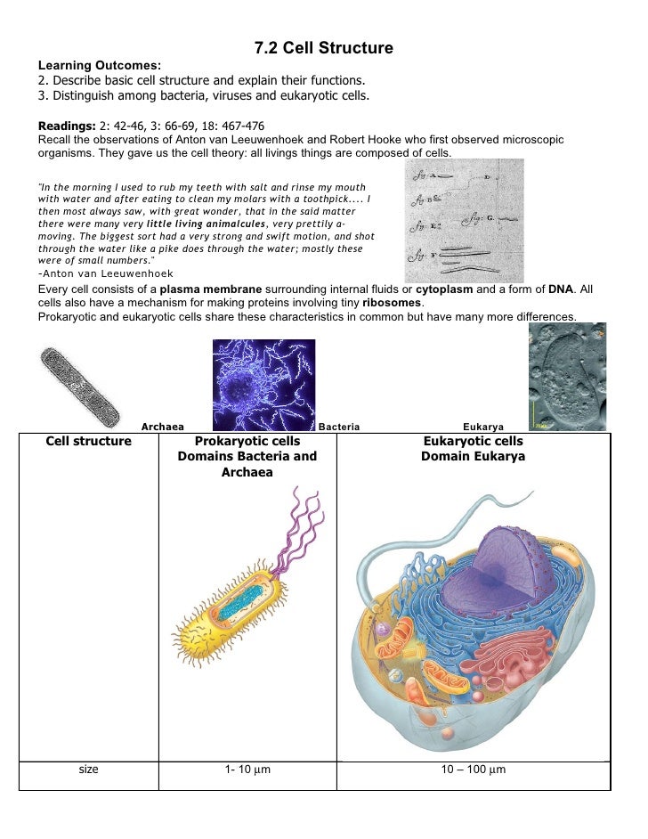 7 2 Cell Structure 7 2 Cell Structure
