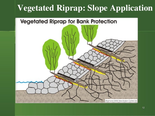 Bio-engineering power point Presentation