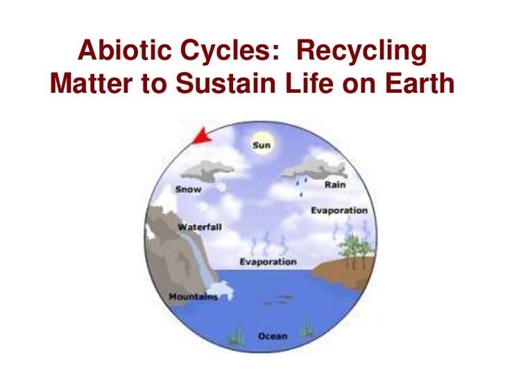 Abiotic cycles