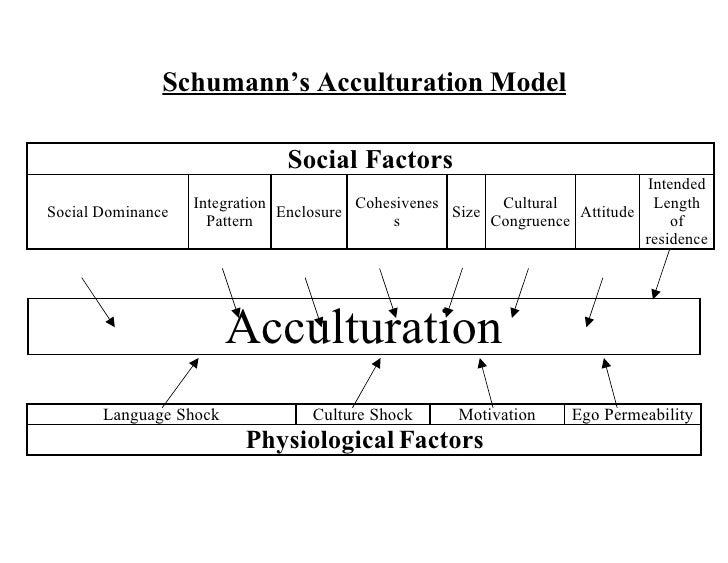 Acculturation Model Acculturation Model
