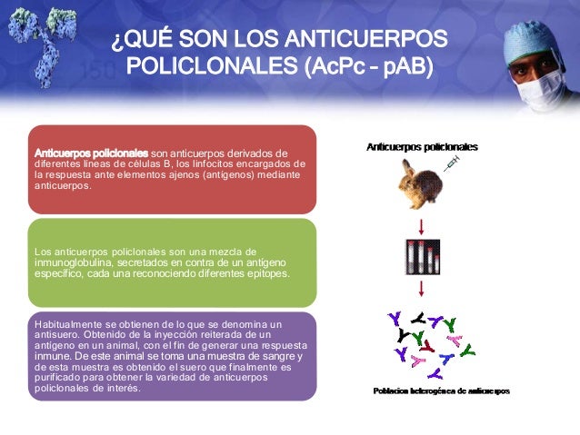 Anticuerpos Monoclonales