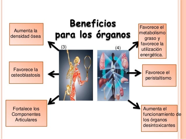 El Deporte Y Sus Beneficios En La Salud Fsica Y Mental Y