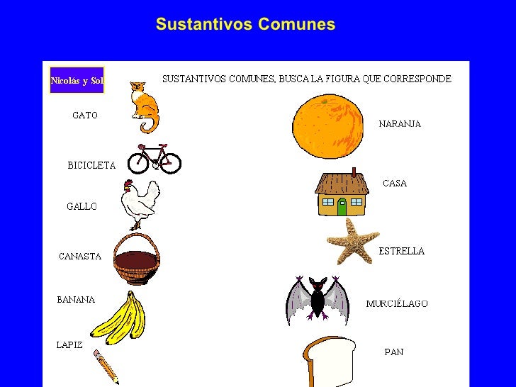 Actividades 2b Sustantivos Comunes Y Orden Alfabetico