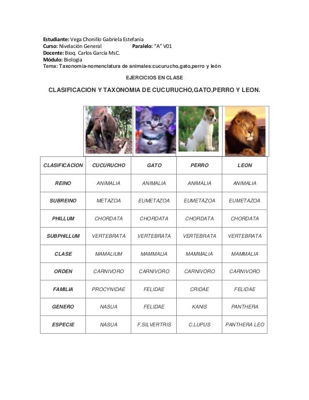 Actividad intraclase NOMENCLATURA Y TAXONOMIA DE LOS SERES VIVOS
