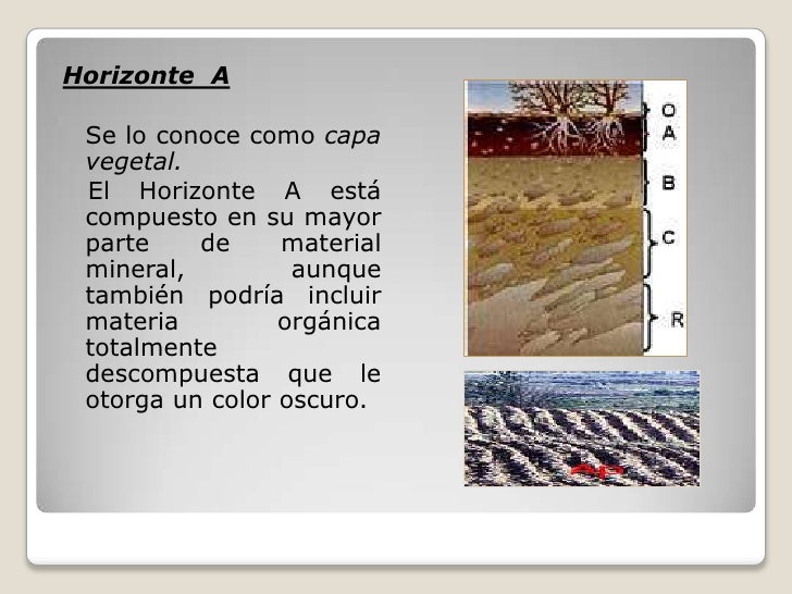 EL SUELO – cienciasnaturalestcdc