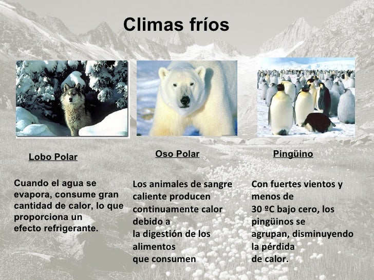 Adaptaciones a la temperatura