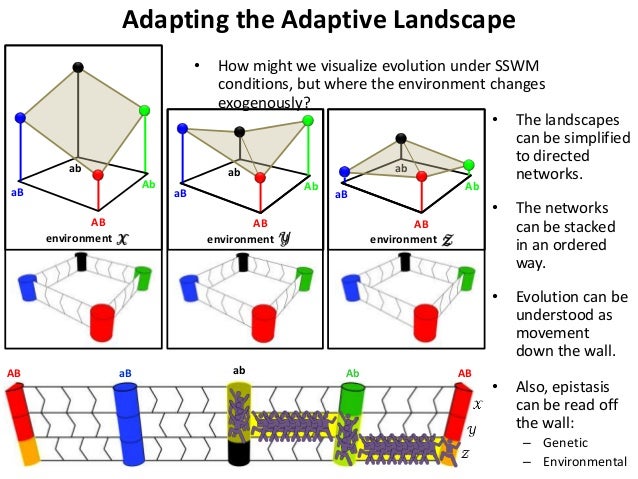 Ben Kerr - Adaptive landscapes in changing environments Ben Kerr - Adaptive landscapes in changing environments