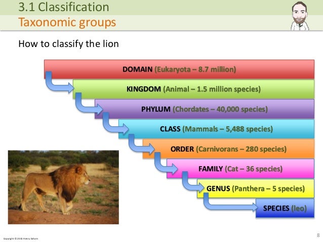 A Level Biology - Classification and Biodiversity