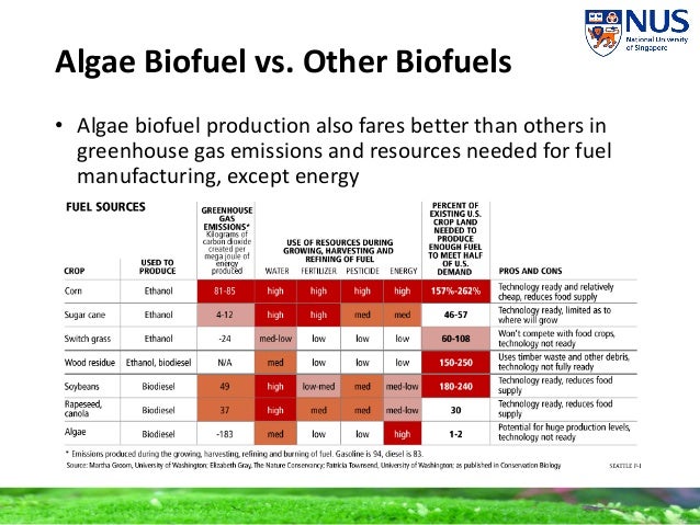 Algae Biofuels