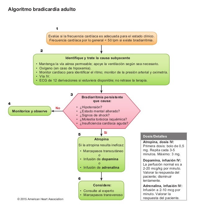 Algoritmos AHA 2015 ESPAÑOL