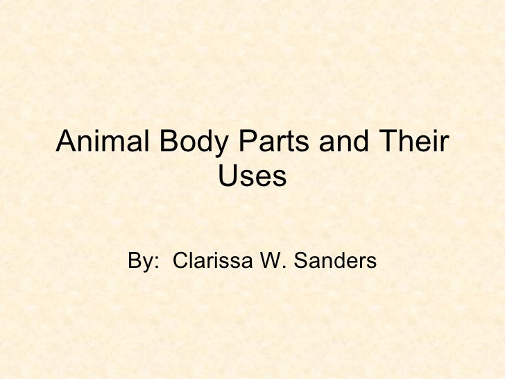 Animal Body Parts And Their Uses Animal Body Parts And Their Uses