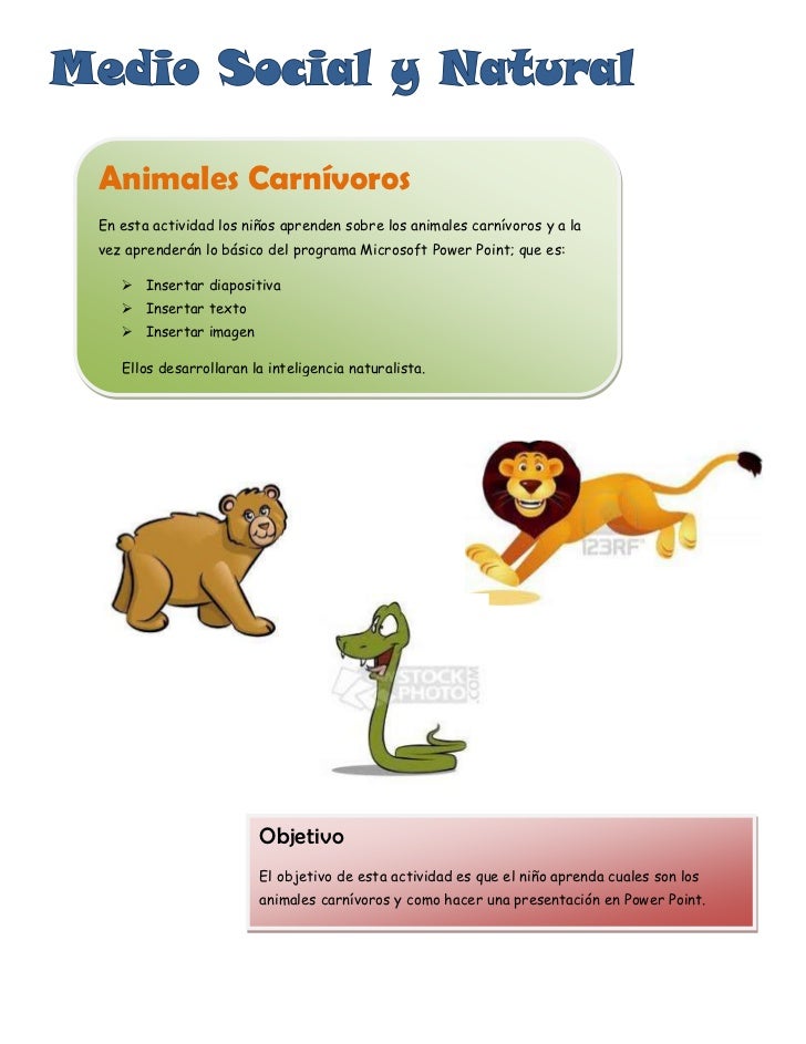 Animales herbivoros para niños - Imagui