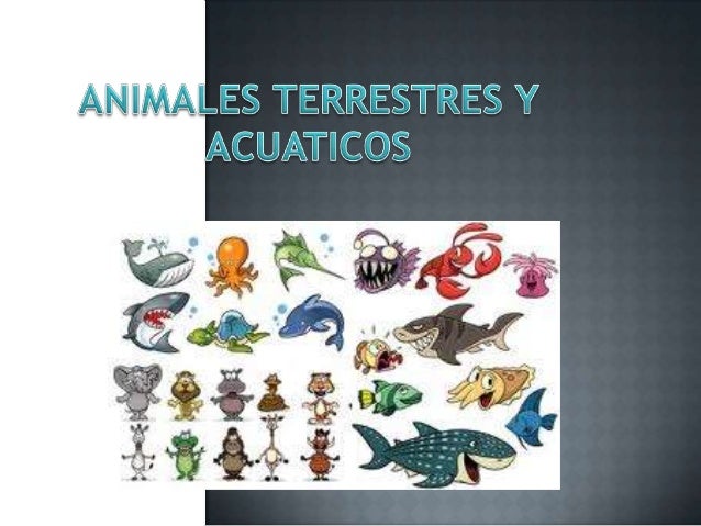 Animales acuaticos y terrestres para niños - Imagui