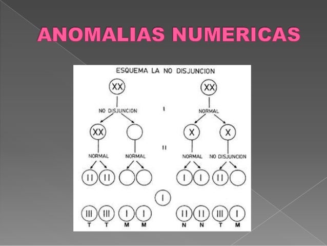 Anomalias cromosomicas