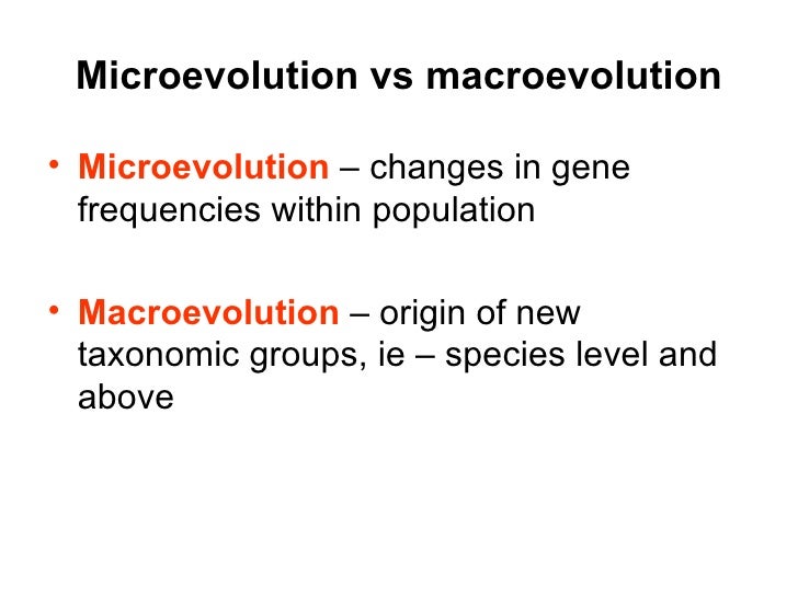 Ap Chapter 24 The Origin Of Species