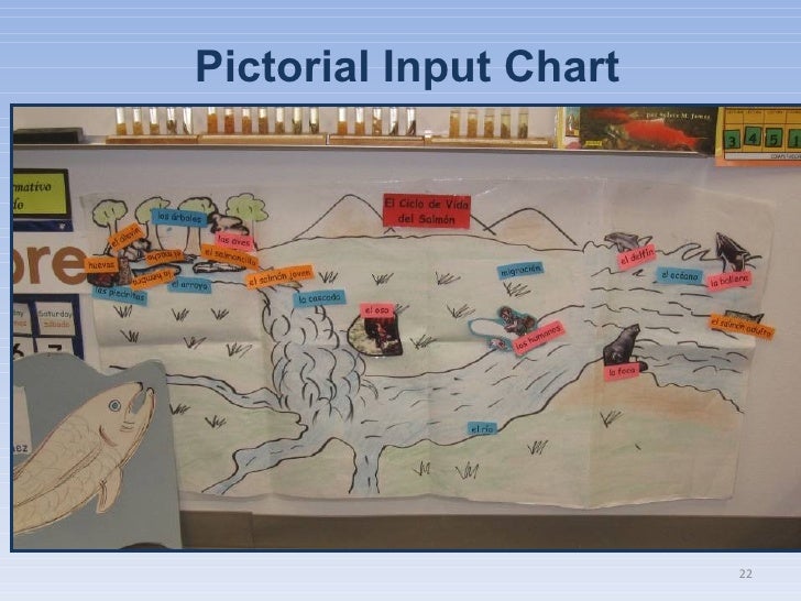 Approaching ELL Students