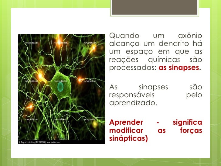 O Que Sinapse Quais Os Tipos E Como Ocorrem Significados
