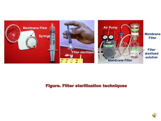 SOLUTION: Aseptic techniques in plant tissue culture copy - Studypool