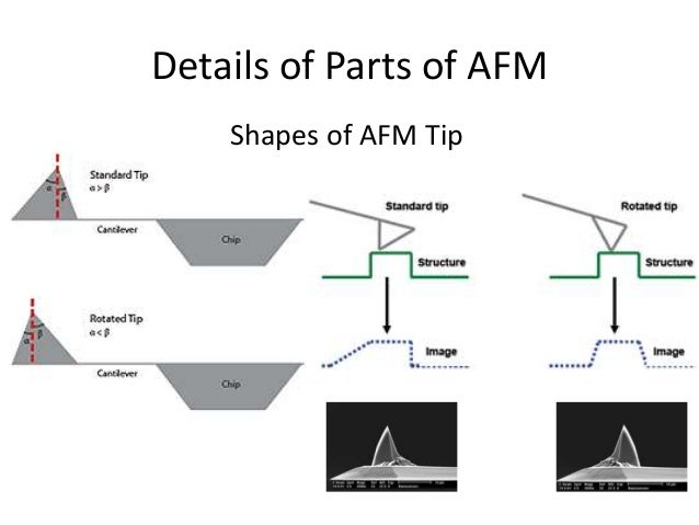 Atomic Force Microscope: Fundamental Principles