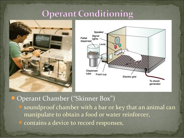 Skinner Box Operant Conditioning