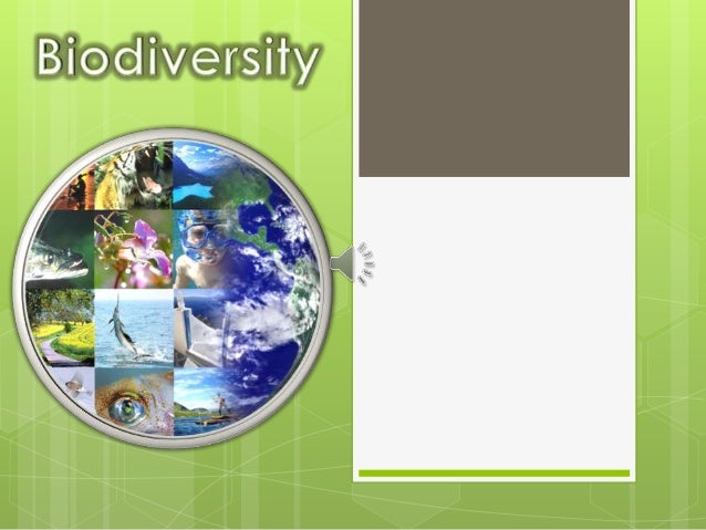Biodiversity Ppt