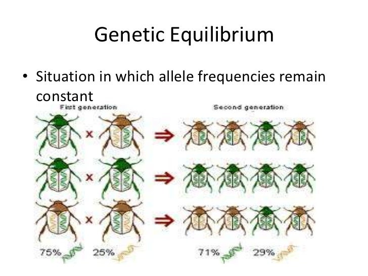 Biology 16 2 evolution as genetic change[1]