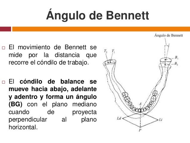 Biomecanica mandibular