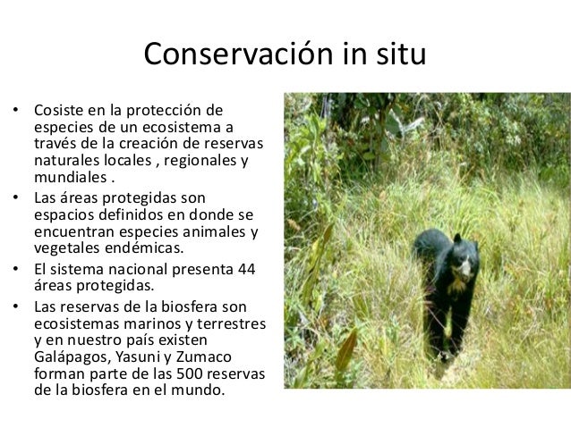 cienciasnaturaleswdg