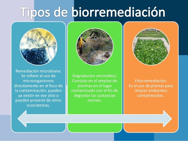 Biorremediación c