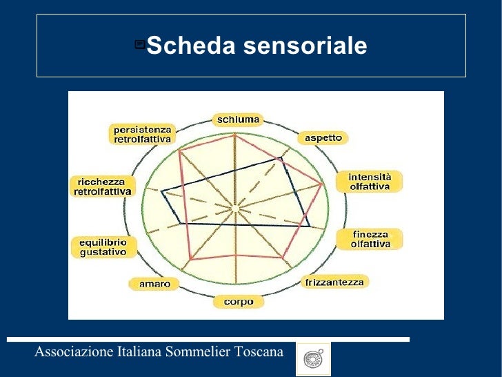 Birra Lezione AIS Primo Livello sommelier
