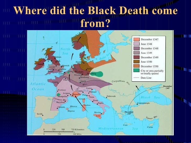 Black death powerpoint