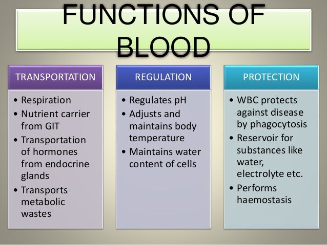 Blood- composition and function