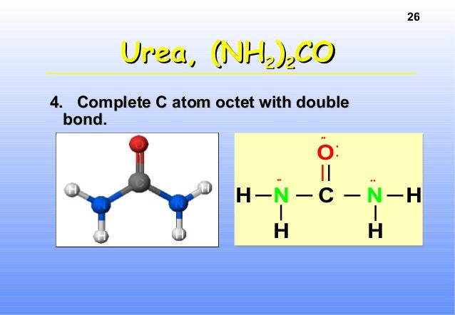 Urea Lewis Structure